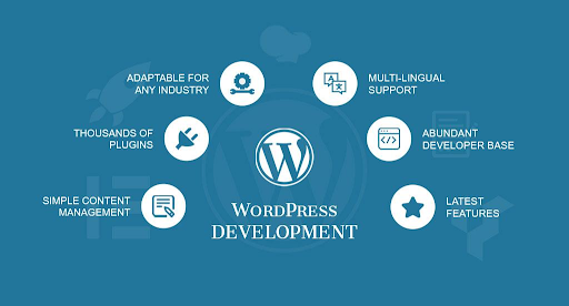 Find Your Professional Premium WordPress Themes Now